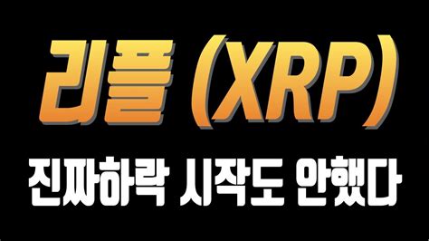 리플 전망 진짜하락은 시작도 안했다 트럼프 최종 결론 리플 리플코인 리플전망 리플코인전망 리플분석 리플목표가 업비트시황 코인시황 급등코인추천 리플대응
