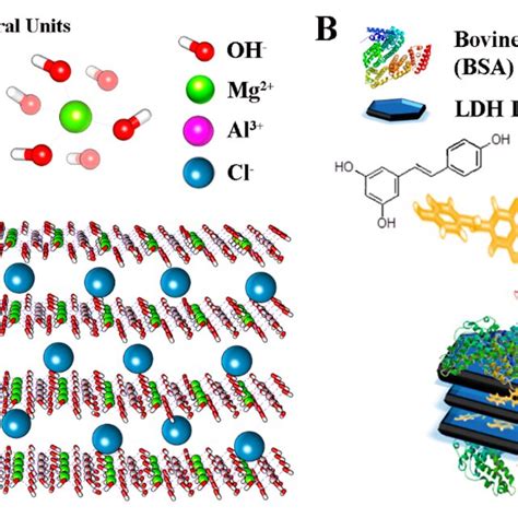 A In Silico Model Of Layered Double Hydroxides Ldh Used In This