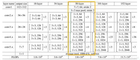 用 Pytorch 搭建一个残差网络resnet50分类器基于 Kaggle 猫狗数据集pytorch Restnet50分类