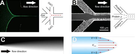 Microfluidic Phenomena Emerging From Laminar Flow Conditions In A Download Scientific Diagram