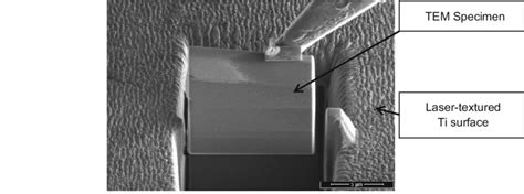 SEM Micrograph Of An FIB Cross Section Showing The Top