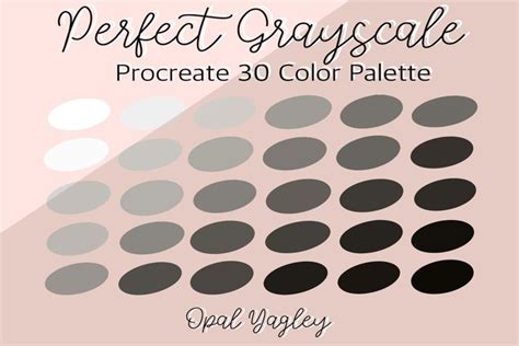 Perfect Grayscale Greyscale Procreate Color Palette