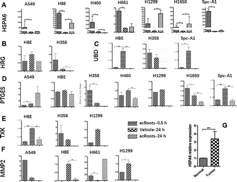 Selected Sensitivity‐associated Targets Were Validated In A549 H460