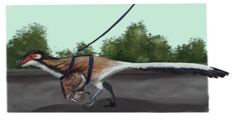 Koprolitos Viajando Al Pasado Con Small Microraptor