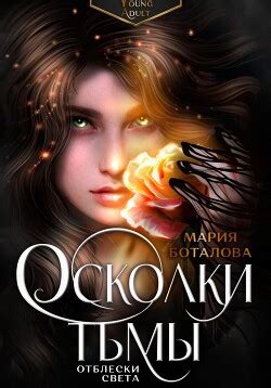 Книга "Осколки тьмы. Отблески света" - Боталова Мария - Читать онлайн ...