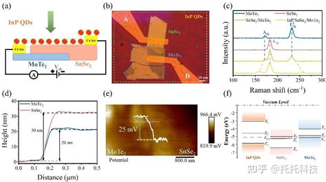 华南师范大学《nanoscale Horiz 》：cu掺杂inp Qds Snse2 Mote2异质结光电探测器 知乎