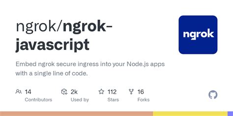 GitHub Ngrok Ngrok Javascript Embed Ngrok Secure Ingress Into Your Node Js Apps With A Single