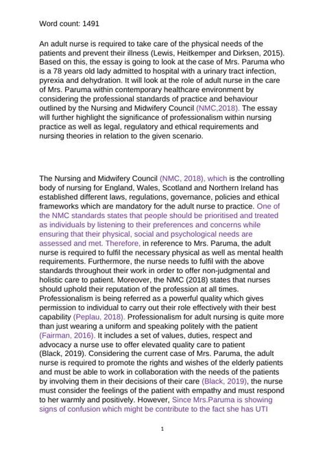 Adult Nurse And Patient Care Nmc Standards In Practice