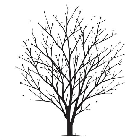 Minimal Autumn Naked Tree Vector Silhouette 36286043 Vector Art At Vecteezy