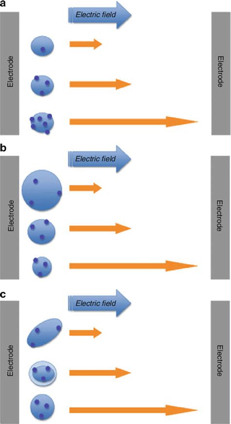 Schematic Representation Of The Main Parameters Involved In Migration