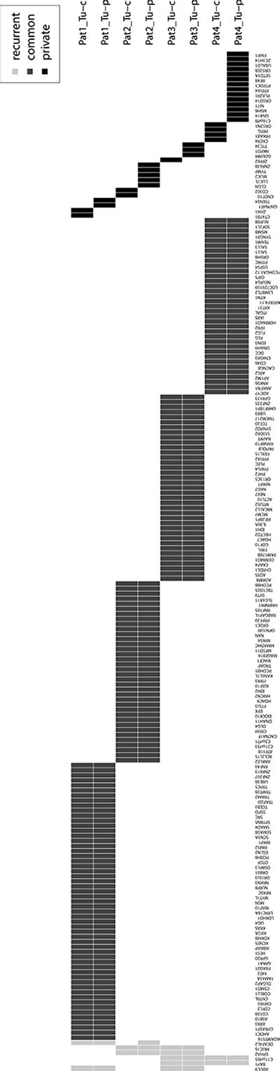 Intratumoral Heterogeneity Of Intrahepatic Cholangiocarcinoma Oncotarget