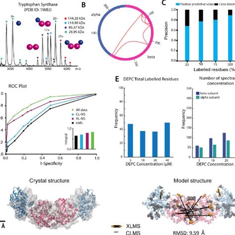 Strategy For Protein Assembly Modeling A Solvent Accessibility