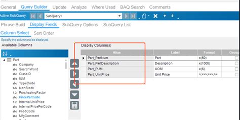 Filling A DataView With The Output Of A Function Call Tutorial Kinetic ERP Epicor User