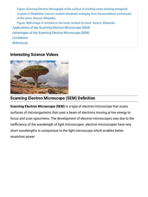 Scanning Electron Microscope Sem Principle Parts Uses Microbe Notes Pdf Scanning