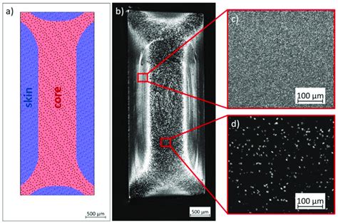 A Schematic Representation Of The Skin And Core Areas Created By Download Scientific Diagram