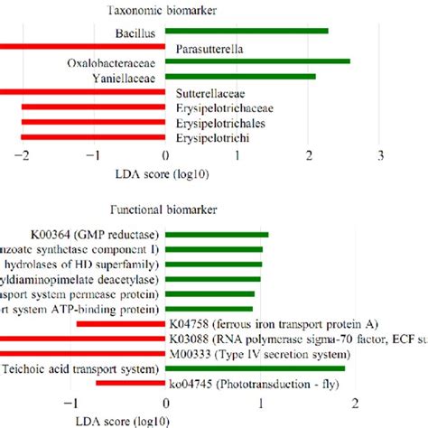 Discovery Of Taxonomic Biomarkers And Functional Biomarkers In Download Scientific Diagram