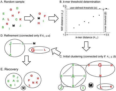 schematic representation of the algorithmic workflow the diagram