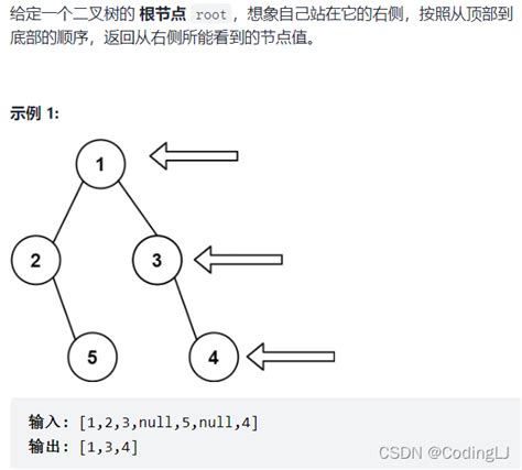 【打卡第227道】【二叉树】【leetcode高频】：199 二叉树的右视图 Csdn博客