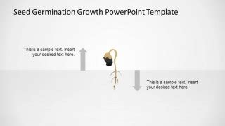 Seed Germination Growth PowerPoint Template SlideModel