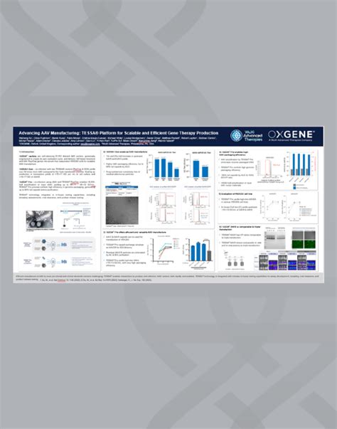 Advancing Aav Manufacturing Tessa® Platform For Scalable And Efficient Gene Therapy Production