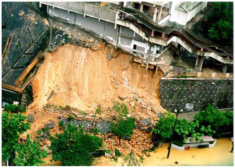 Scar Segment Instance Segmentation Model By Horacelo