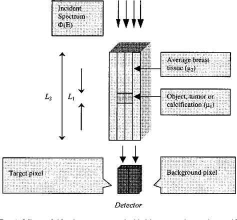Figure 1 From Detective Quantum Efficiency Dependence On X Ray Energy Weighting In Mammography