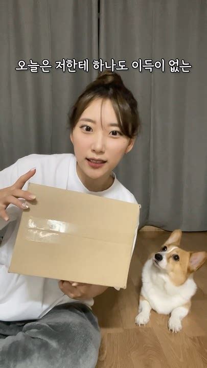 강아지 장난감 랜덤박스📦마지막에 코코가 순위정해줌ㅋ Youtube