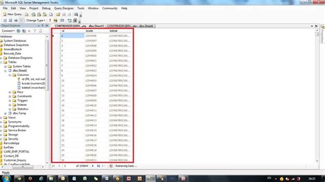 Scan Barcode And Verify Data From Database Using Web Service On Windows Ce Portable Terminal