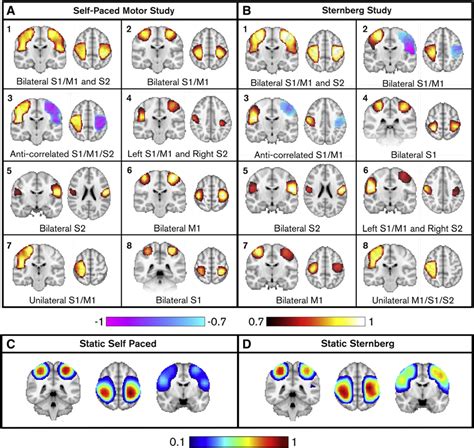 Transiently Synchronous Sensorimotor Sub Networks Generated Using Two