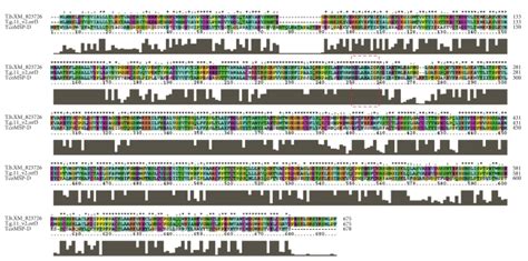multiple sequence alignment of msp putative functional homologues and