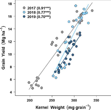 Relationship Between Kernel Weight And Grain Yield In Maize Points Download Scientific Diagram