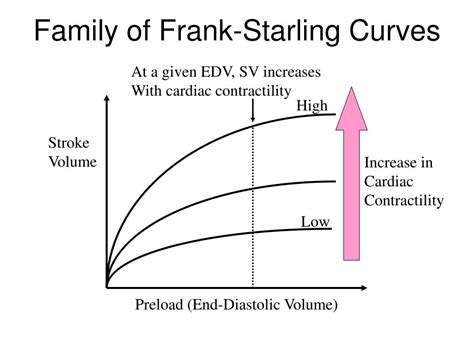 Ppt Left Ventricular Function Frank Starling Principle Left