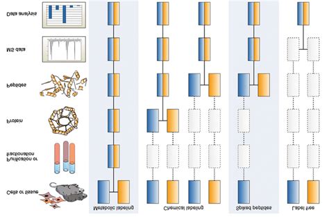 2 Common Quantitative Mass Spectrometry Workflows Download Scientific Diagram