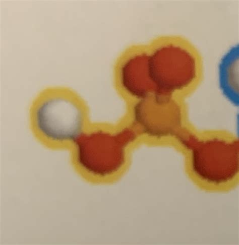 Nucleotide Structure Flashcards Quizlet