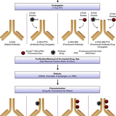 Workflow For Synthesis Purification And Characterization Of