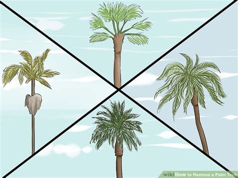 How To Remove A Palm Tree 8 Steps With Pictures WikiHow