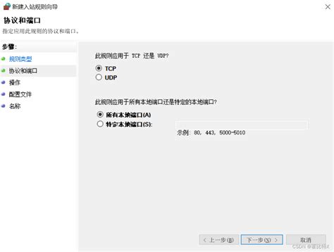 解决iis发布程序只有80端口可以被访问，其他端口访问不了的问题 扫描端口只发现了80 csdn博客