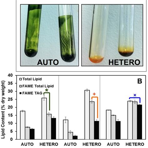 PDF Comparative Analyses Of Three Chlorella Species In Response To Light And Sugar Reveal