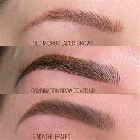 Powder Brows Vs Microblading Key Differences Daela