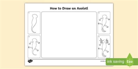 How To Draw An Axolotl KS1 Creat De Profesori Twinkl