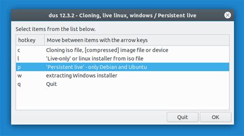 Create A Persistent Storage Live USB With Ubuntu Linux Mint Or Debian UEFI GB Persistence