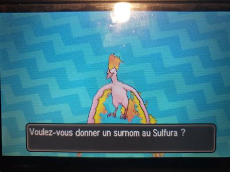 [gen 7] Finally Got My Shiny Moltres After 2354 Sr I Thought It Would Be A Quick Side Hunt