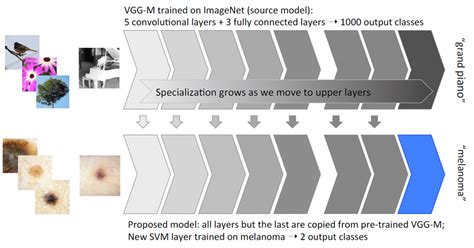 The Proposed Melanoma Screening Classifier Using Deep Learning And