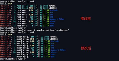 【mysql系列文章】linux环境下安装部署mysql linux 部署mysql csdn博客