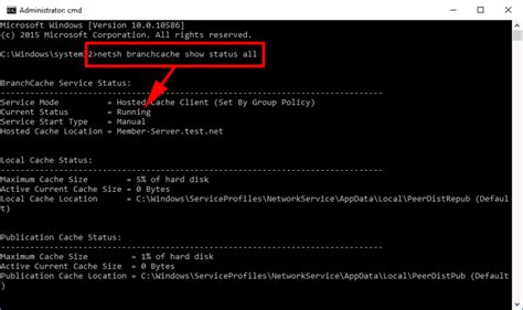 Windows BranchCache Hosted And Distributed PeteNetLive