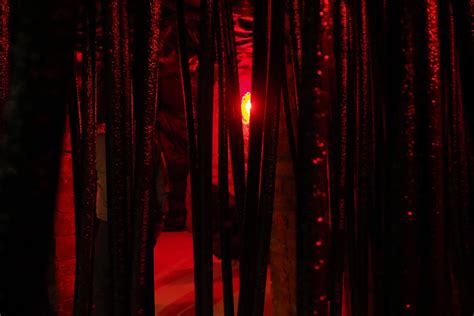 Монголын дүрслэх урлагийн үзэсгэлэн “Венецийн биенналь” д шуугиан тарьж