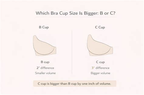 What Does C Cup Bra Mean Complete Guide To C Cup Sizes And Finding