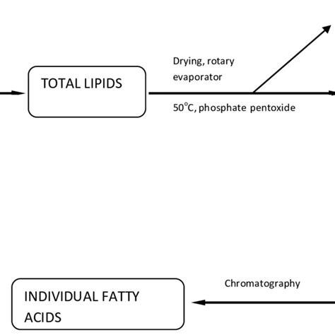 Determination Of Fatty Acids Composition Download Scientific Diagram