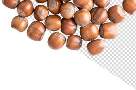 Hazelnut Shell Psd 3000 High Quality Free Psd Templates For Download