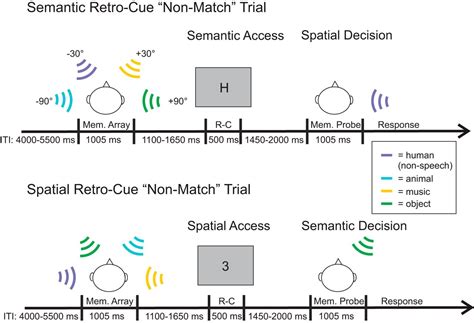 Neural Dynamics Underlying Attentional Orienting To Auditory Representations In Short Term